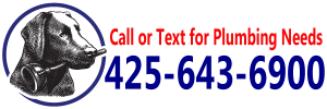 Trusted Plumber in Bellevue WA area – Rudy’s Plumbing Inc.